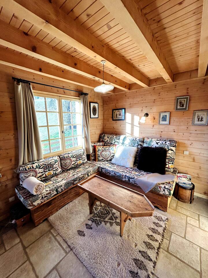 Ski Chalet Boa Vista - Manigod - Manigod