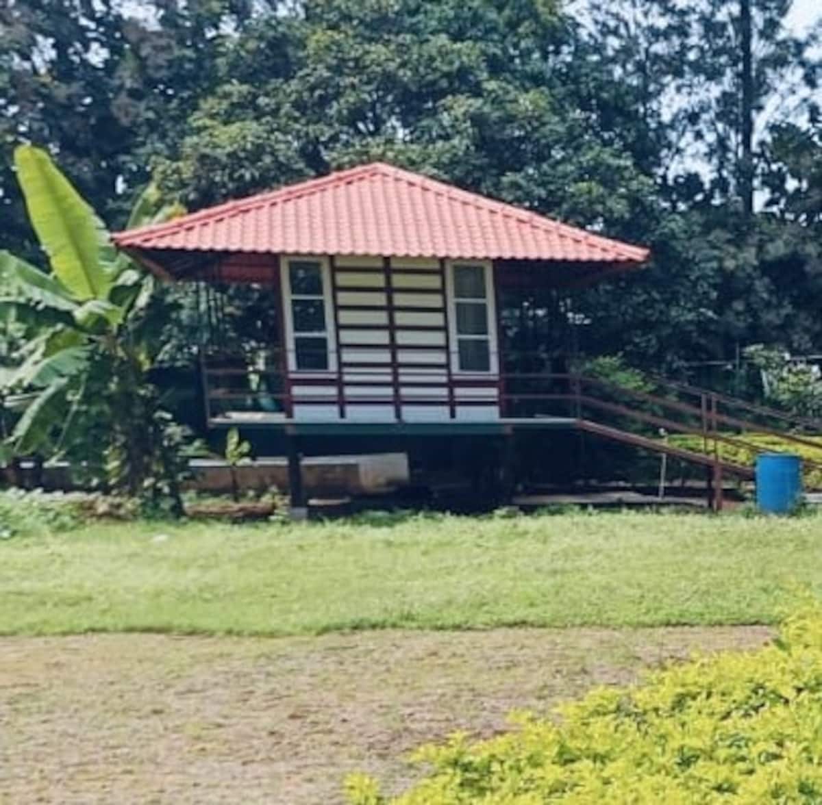 Bengaluru Farmstay Holiday Rentals - Karnataka, India | Airbnb
