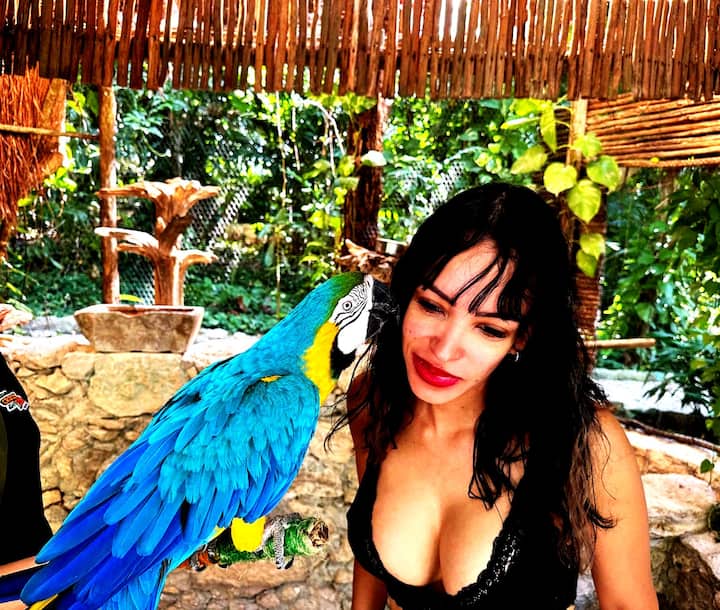 Paradise Awaits In This Seaside Escape! - Puerto Morelos