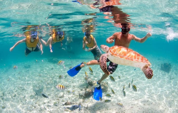 Paradise Awaits In This Seaside Escape! - Puerto Morelos