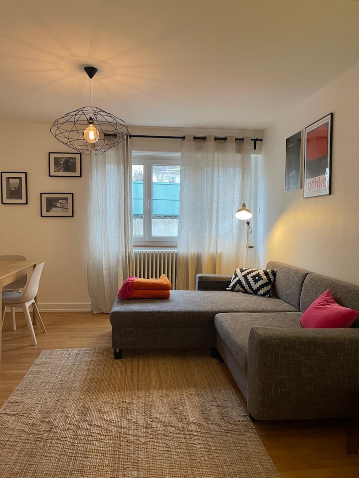 Joli Logement Chez L'habitant Entrée Indépendante - Strasbourg