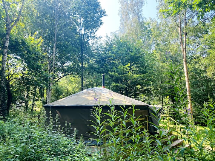 Oak, Mongolian Yurt, In Magical Woodland, Sleeps 6 - Ross-on-Wye