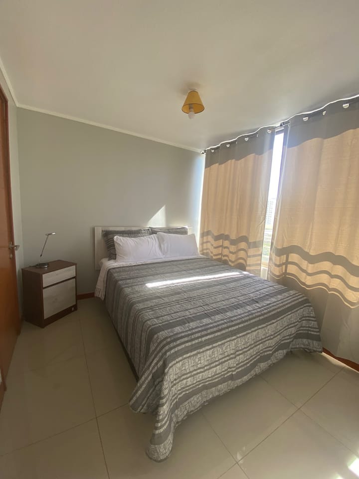 Moderno  Departamento  En Centro - Santiago