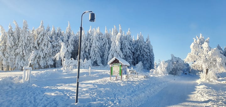 Haus Schneider Fewo Nr.12 - Winterberg