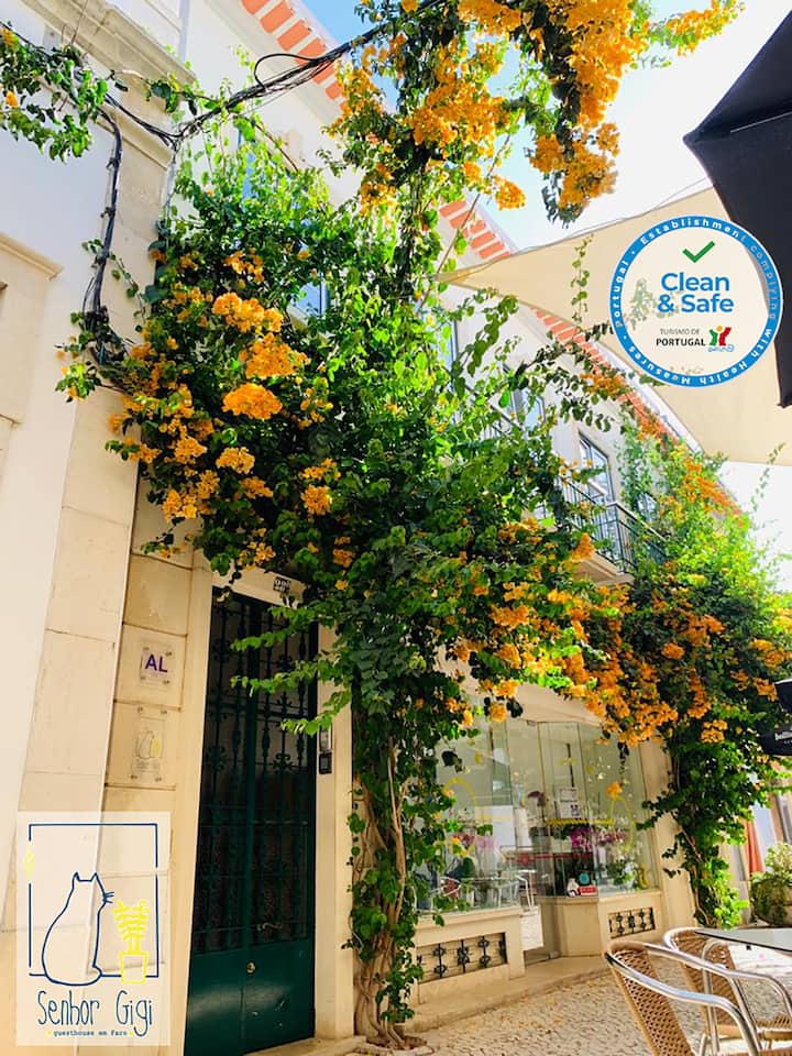 Appartement Avec Jardin Privé - Faro