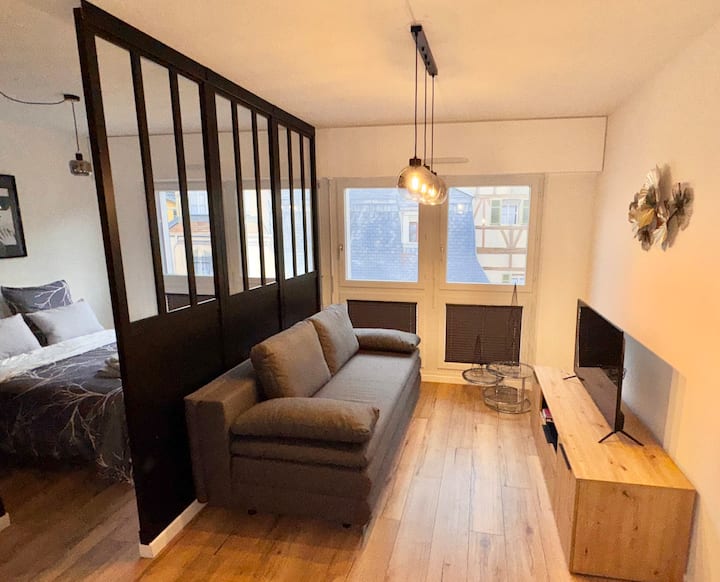 Appartement Centre Mulhouse - Rixheim