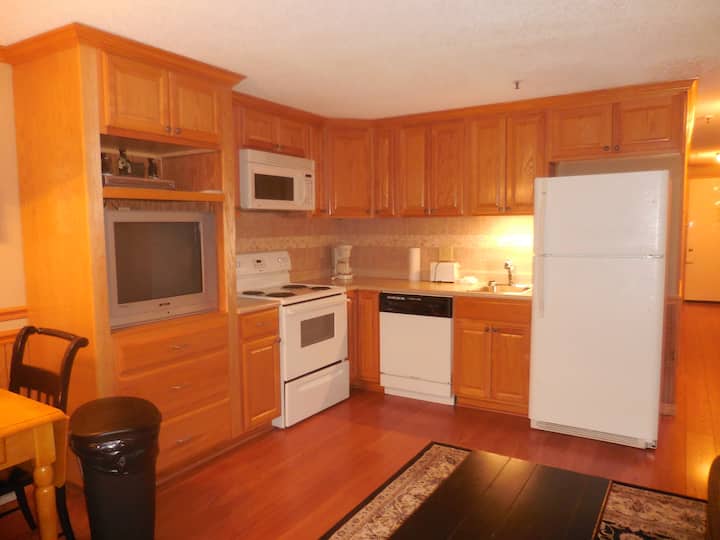 1 Bdrm Snowshoe Apt Ski In And Ski Out - Snowshoe, WV