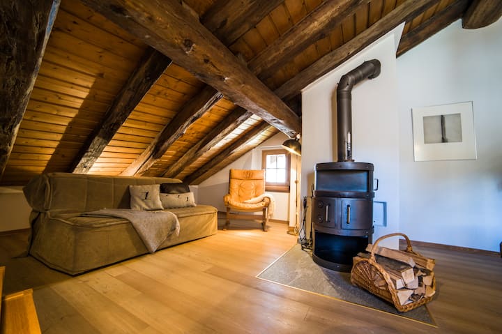 Wohnung Morteratsch & Grisch In Der Chesa Michel - Zuoz