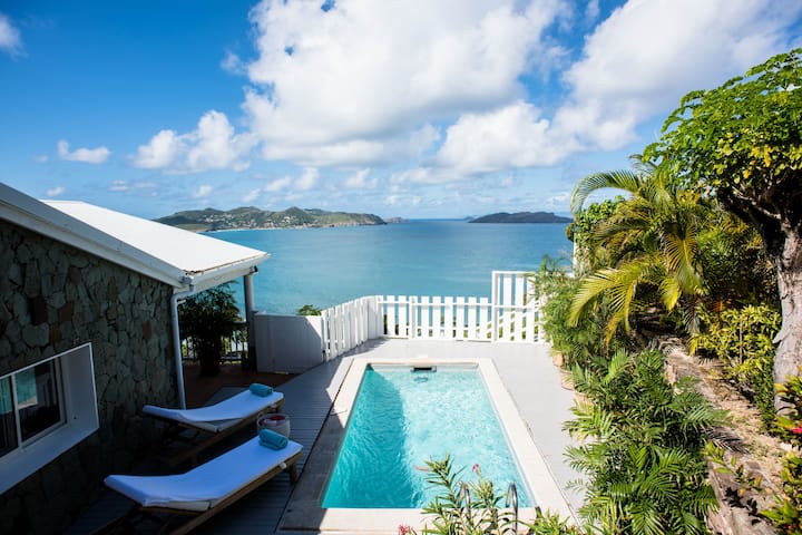 Colibri - Saint Barthélemy