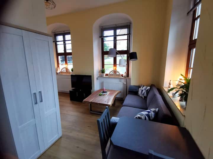 Schnorr-villa - Bad Schlema