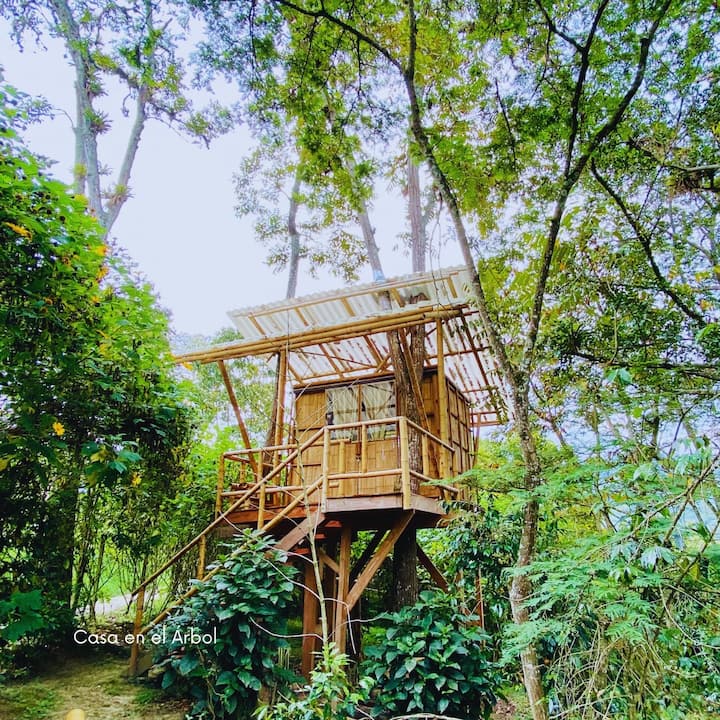 Casa En El ÁRbol En Ecoaldea - Silvania
