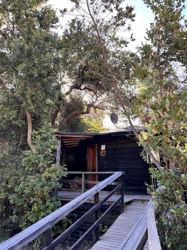 Refrescante Loft En El Bosque - Constitución
