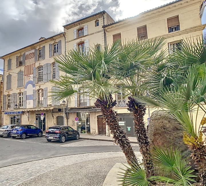 Charmant Appartement à Pézenas - Pézenas