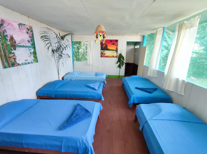 Lodge By The Amazon Jungle-peru - Iquitos
