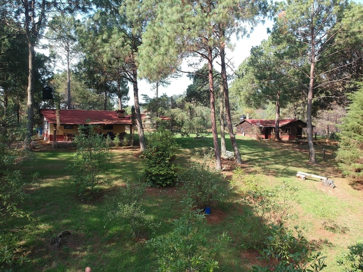 Tierra Madre ~Cabaña Mariposa - La Manzanilla de La Paz