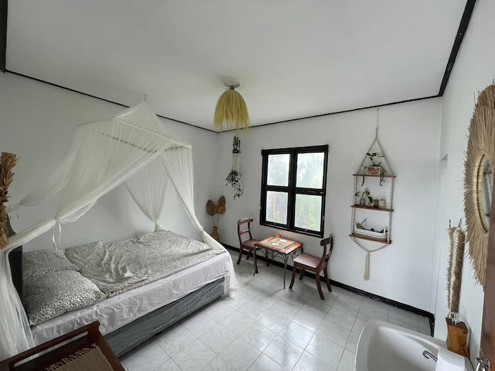 Vero & Lion Room - Munduk