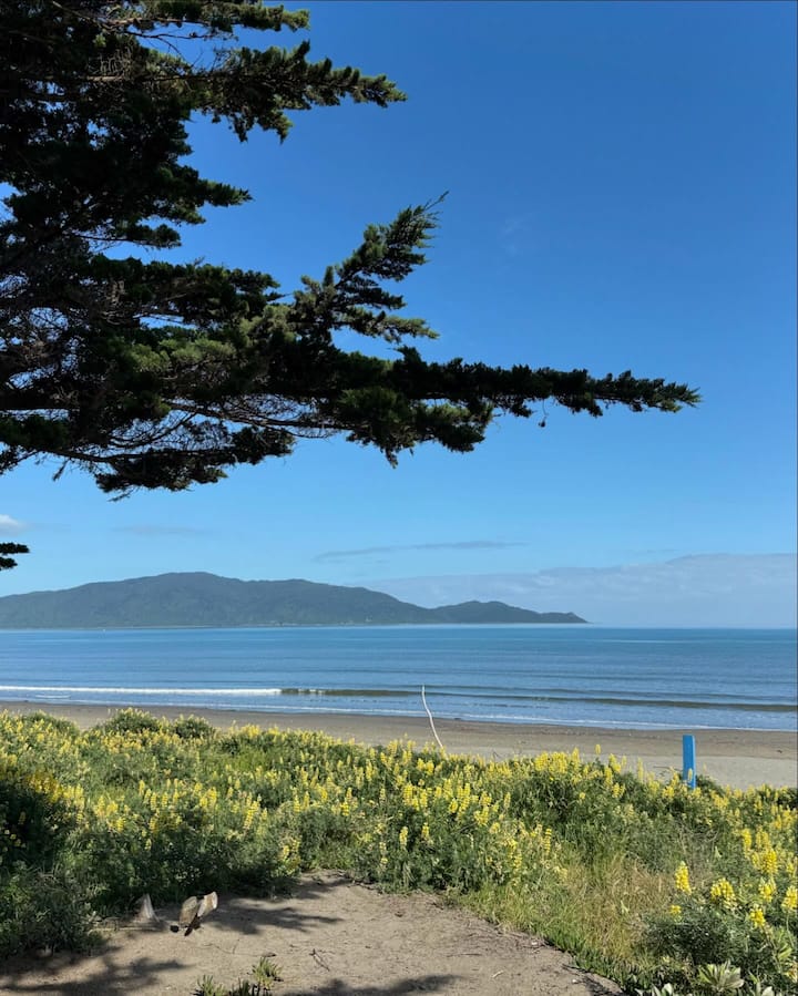 Cosy Bach, Walk To Cafes & Beach - Paraparaumu
