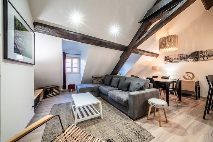 Coeur Vieille Ville - Annecy