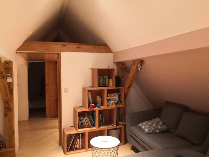 2 Zimmer In Großem Haus+garten - Berlin
