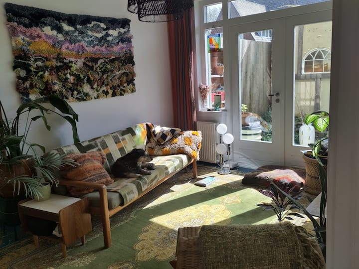 Soulful, Artistic Near The Dunes - Zandvoort