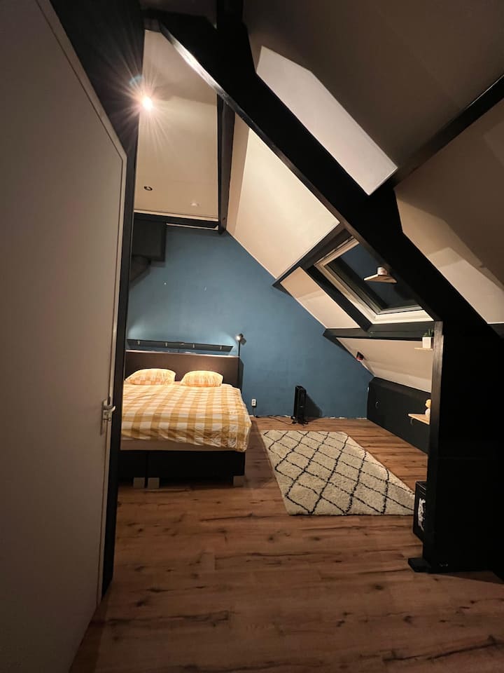 Spacious Room In The Attic - Tilburg