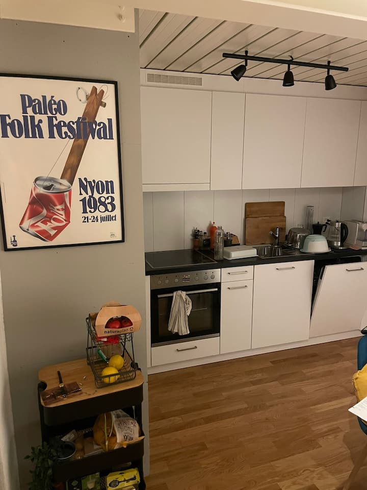 Loft - Lausanne Centre - Lausanne