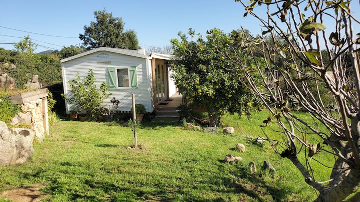 Bungalow Sur Terrain Privatif. - Porto-Vecchio