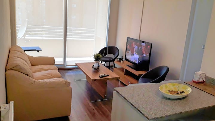 Premium Acogedor Renaca Concon - Concón