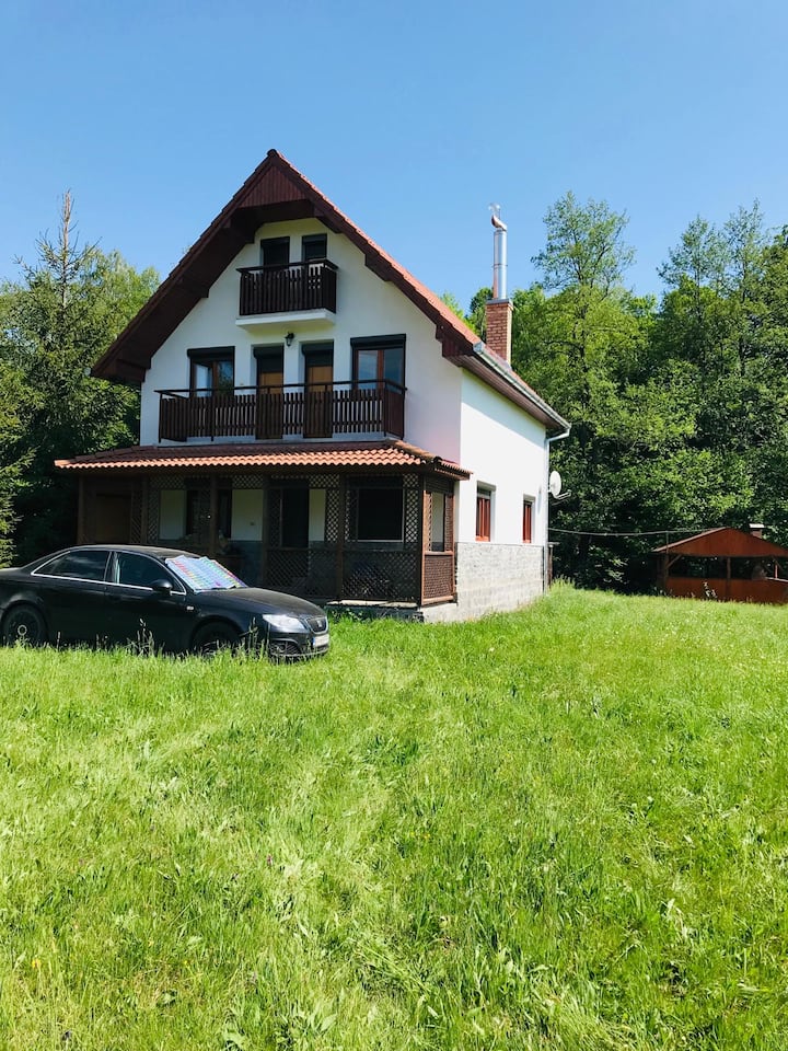 Viila  Cabanuta - Baraolt