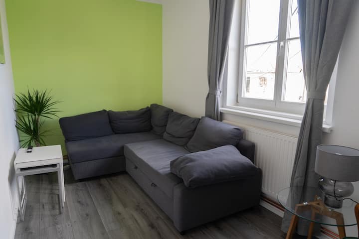 Wilsons Home Baden Rosengarden Opd By Hostguides - Baden bei Wien
