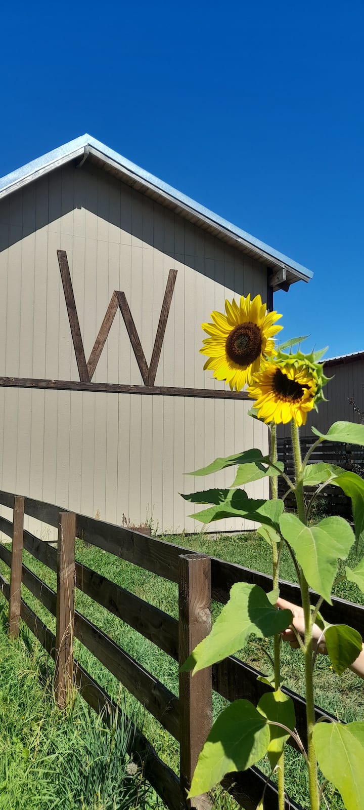 W Duplex El Bolsón - El Bolsón