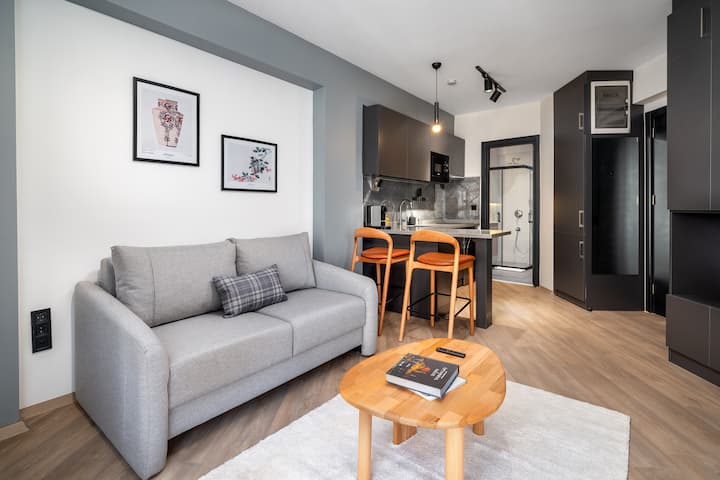 Fully Furnished 1-bedroom Apartment In Downtown - Karaköy