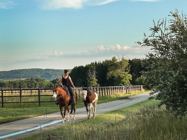 Reiten In Wunderschöner Natur - Szentgotthárd