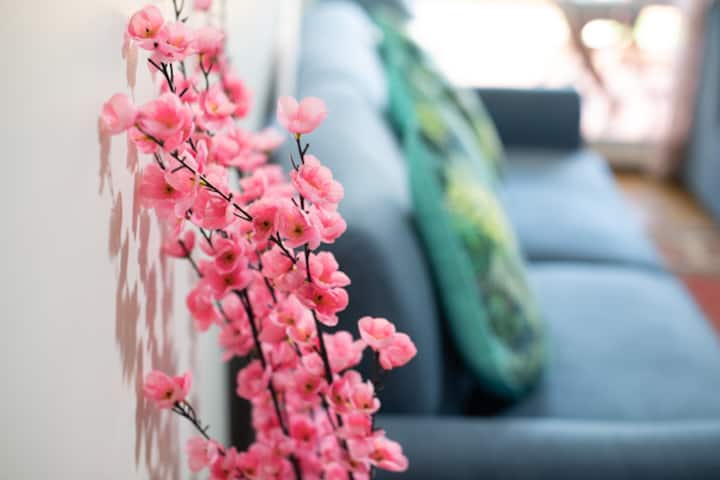 T4 Standing Terrasse, Parking - Les Abymes - Guadeloupe