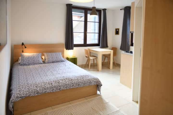 Studio Le 17 - Vevey