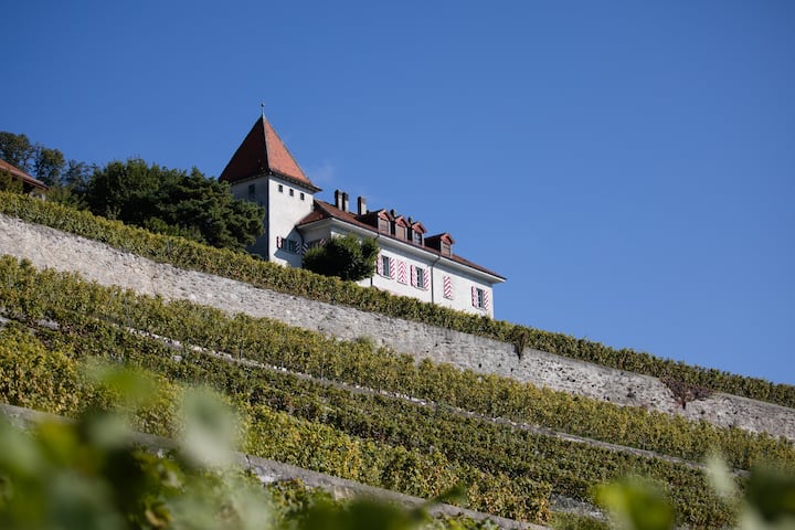 Chambre Avec Vue Au Domaine Du Burignon - Lac Léman
