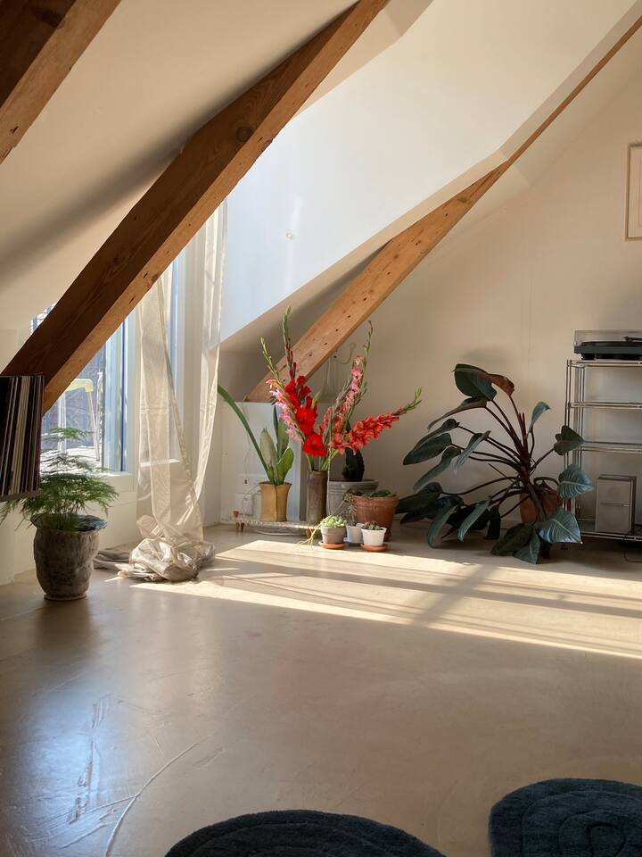 Sunny Rooftop Bijoux - Berne