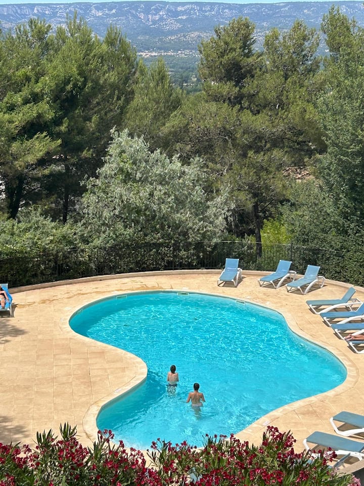 Mas 70 M2 Climatisé - 6p. Piscine/jardin/parking - Mallemort
