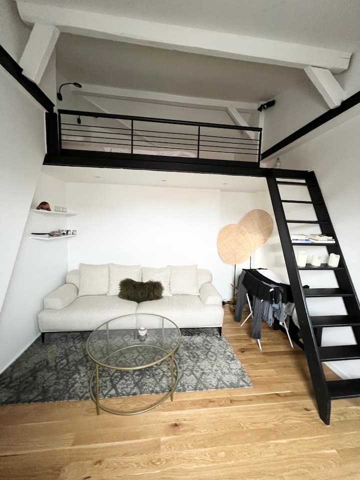 Magnifique Appartement Parisien - Neuilly-sur-Seine