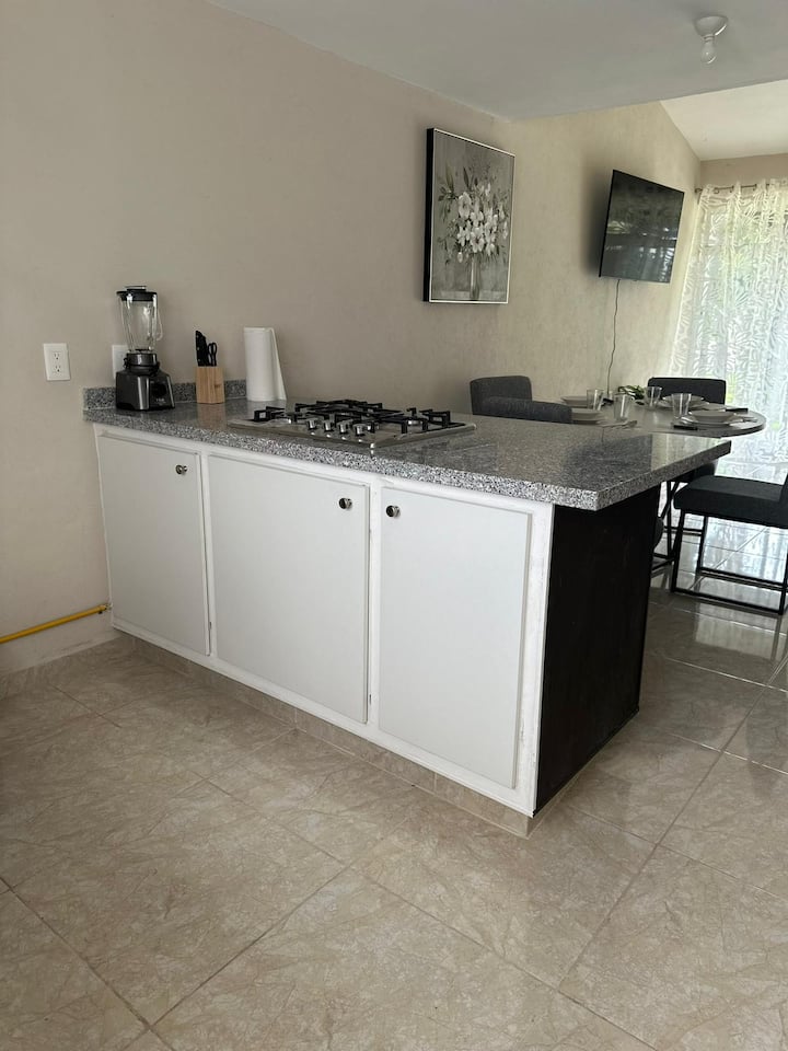 Casa En Acapulco De Juárez. - Acapulco