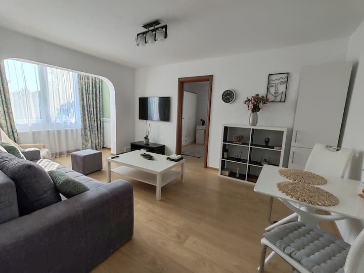 Crina Confort Apartament - 布拉索夫