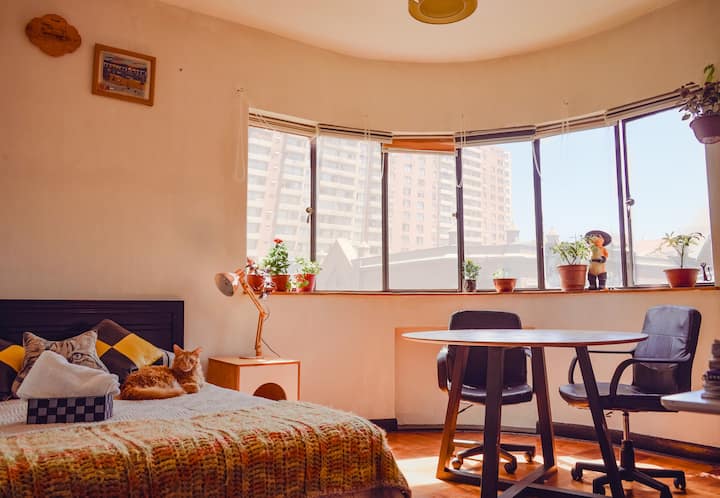 ¡Amplia Habitación Privada Con Encanto Gatuno! - Recoleta, Chile