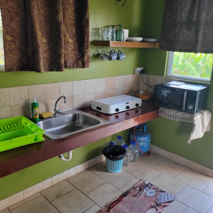 Jacoway Inn Skylark Studio - 多米尼克