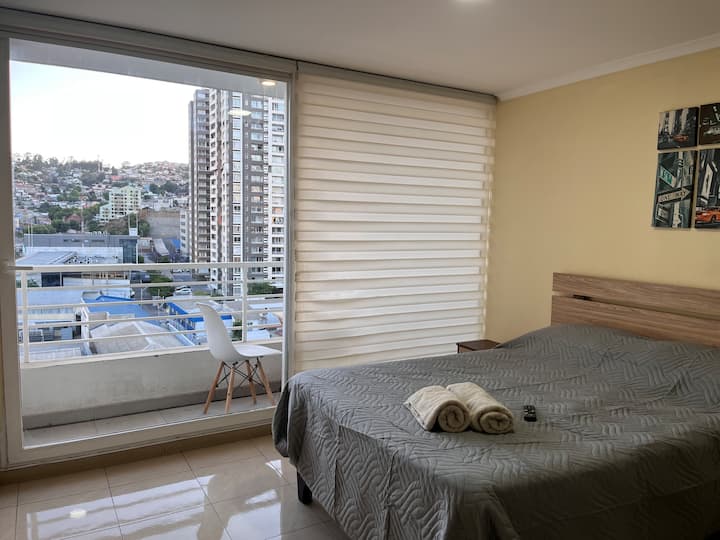 93b - Lindo Departamento Estudio - 比尼亞德爾馬