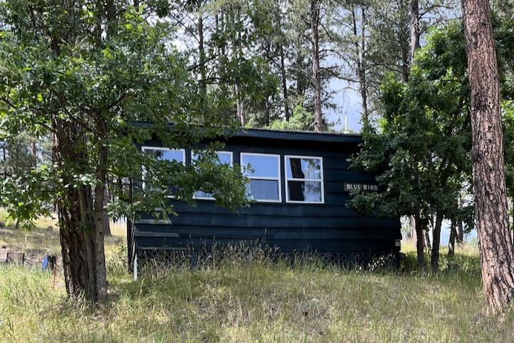 The Blue Bird Cabin - Keystone, SD
