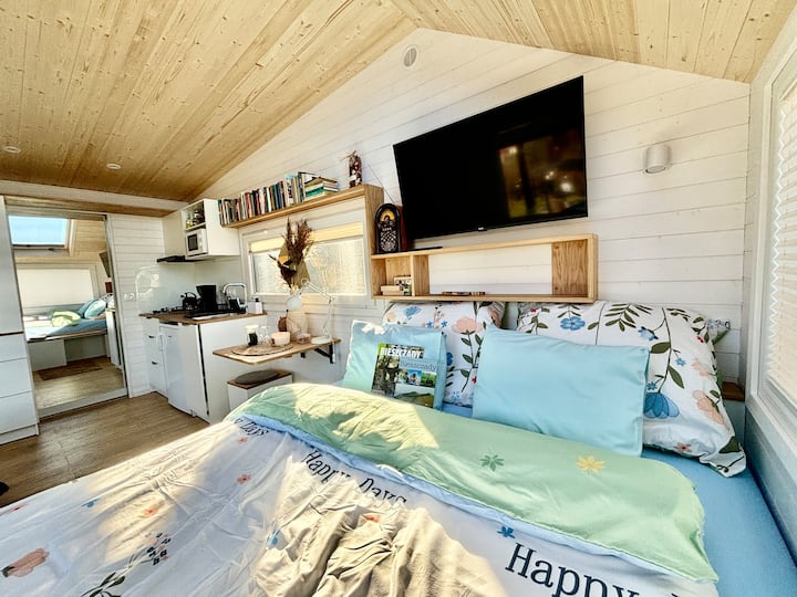 D9 Jacuzzi Sauna Kominek Klima - Solina