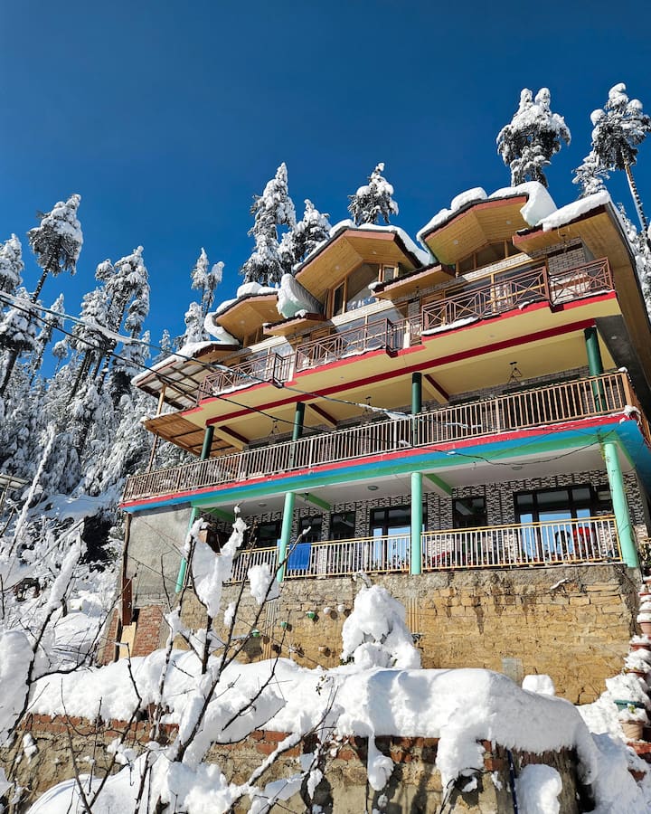 The Pineapple Home - Manali