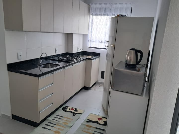 Locação Ao Lado Do Aeroporto E Beto Carreiro - Navegantes