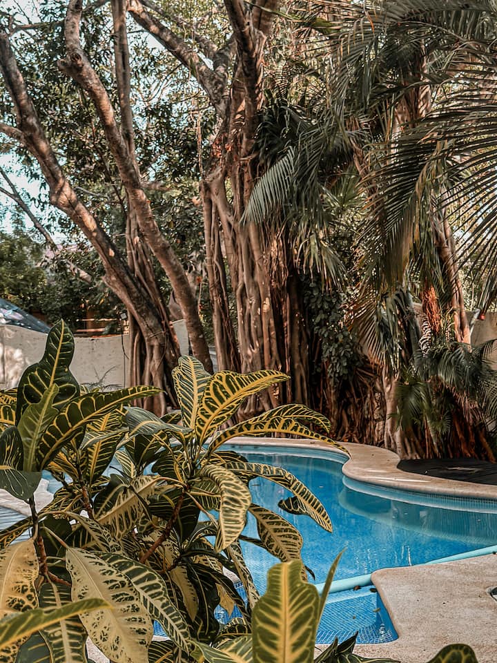 5th Av Jungle Oasis A Block Away From The Beach - Riviera Maya