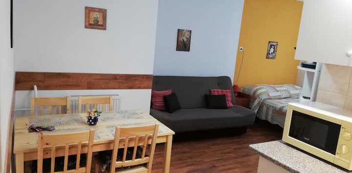 Roxanna Apartman Gyulán 3főnek - Gyula